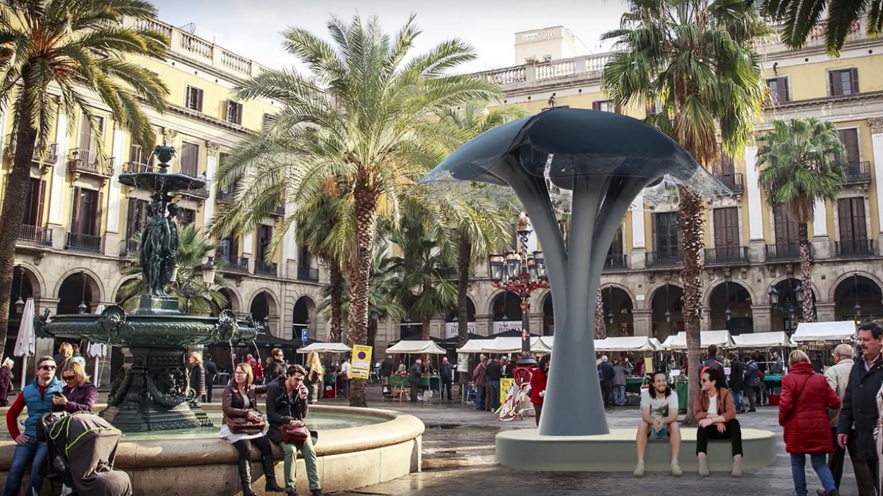 Alberi in grado di ricaricare le auto: ecco il progetto di SolarBotanic ...